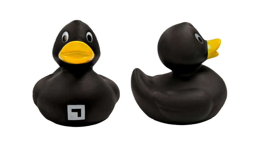 Enrise | Rubber ducking